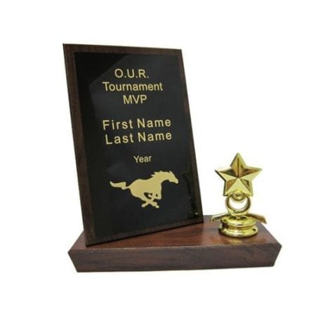 Small Standing Plaque Trophies | Willamette Valley Awards